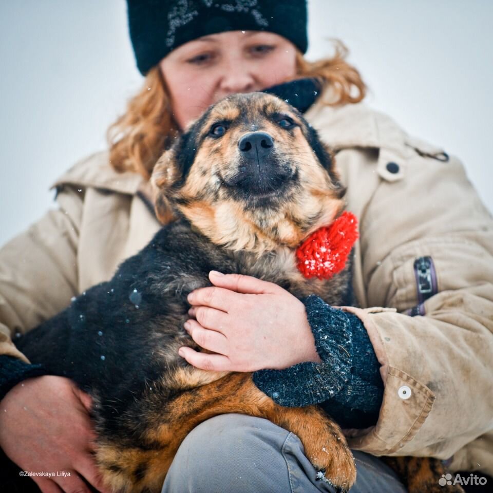 Домашний ребенок сейчас в приюте