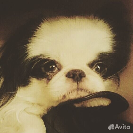 Мальчик для вязки