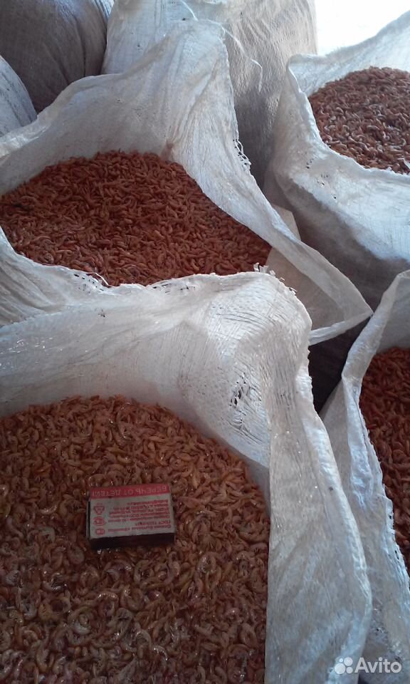 Гаммарус мелким оптом