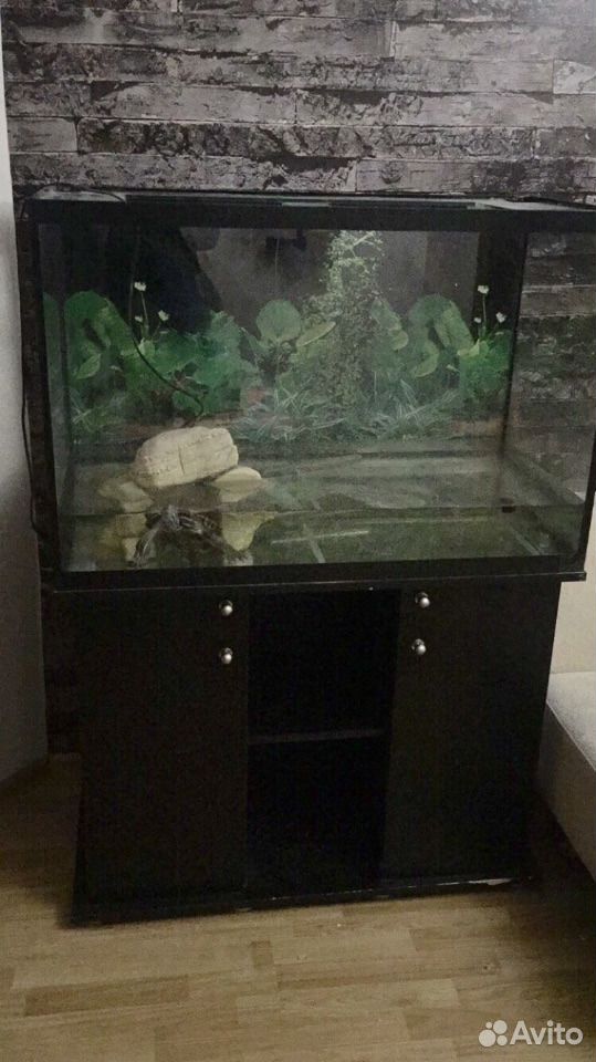 Аквариум 270л с тумбой