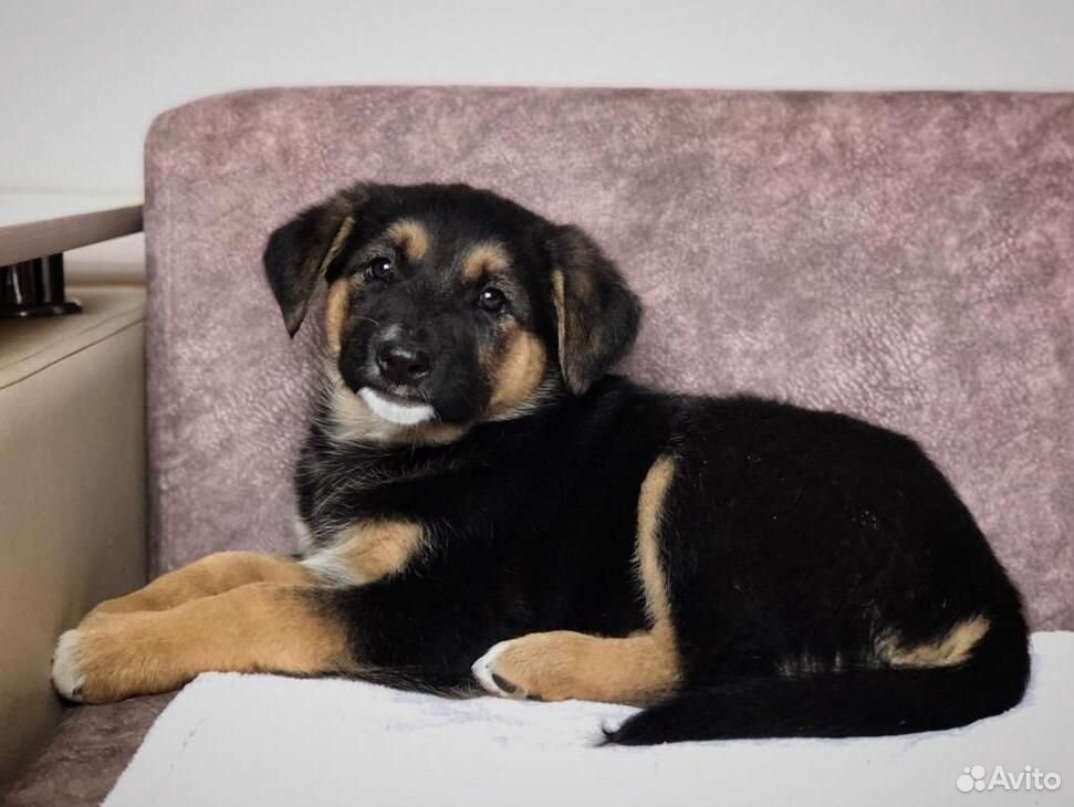 Шикарная Дэя ждёт Вас - самых лучших мамупапу