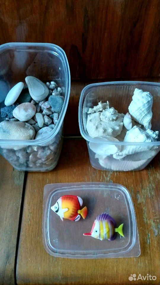 Грунт, ракушки, камешки