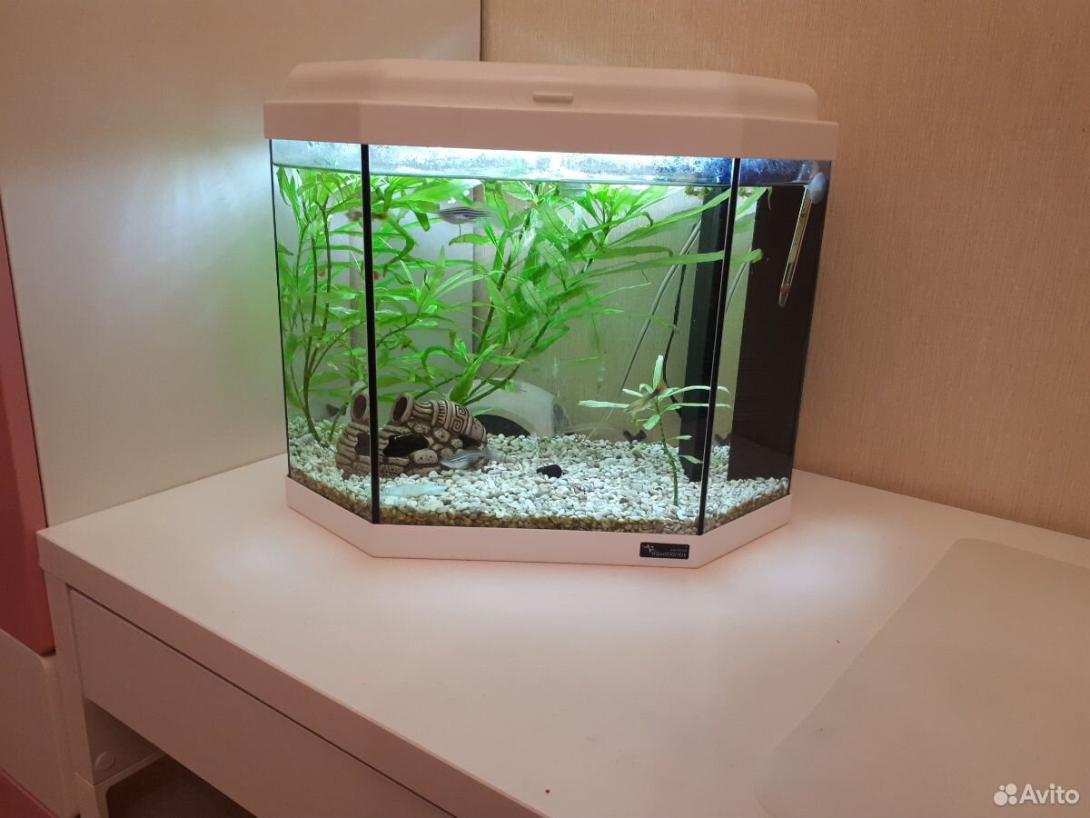Продам аквариум 27л
