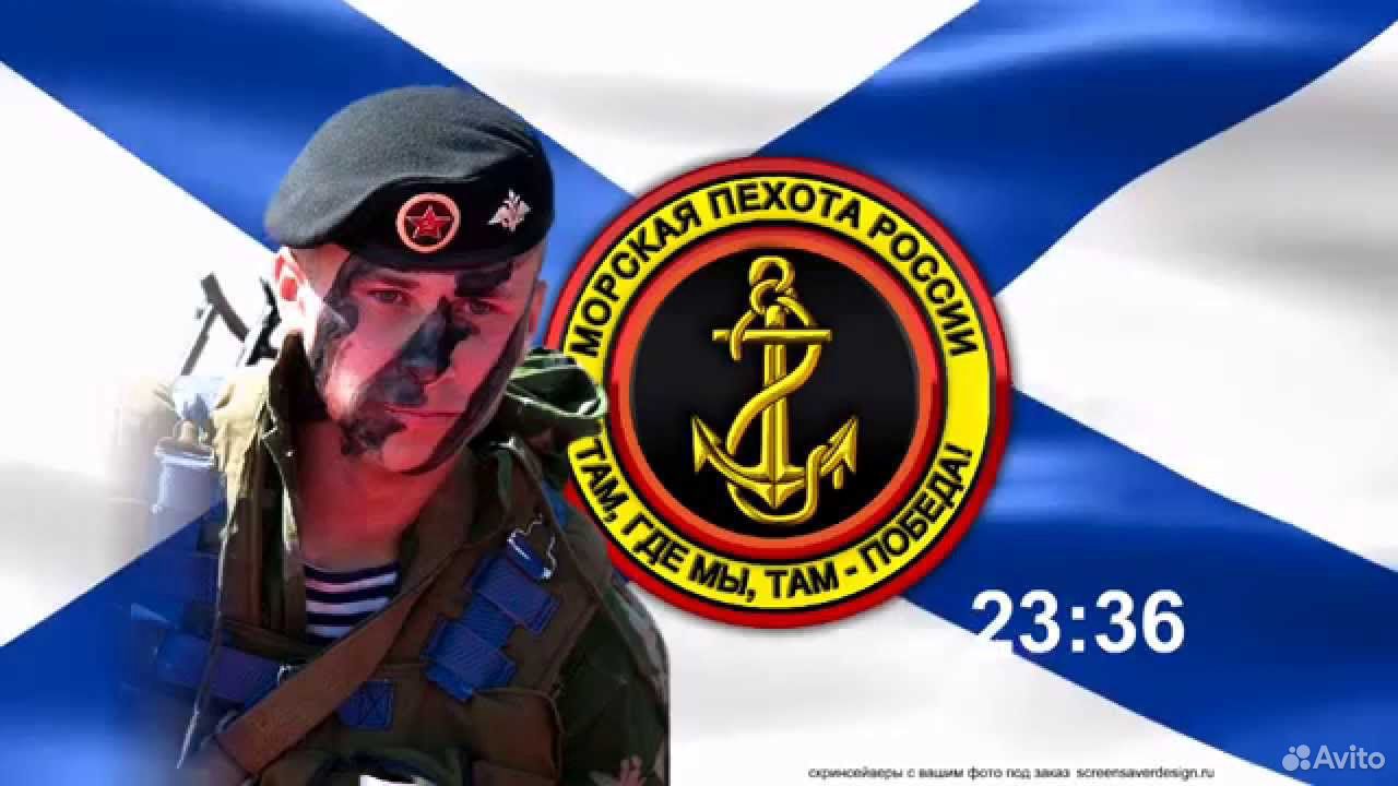 Возьму в добрые руки собаку стаффа