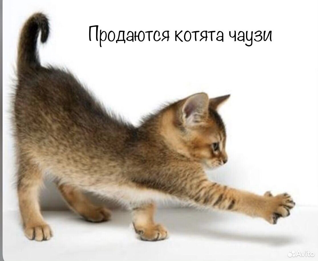 Предлагаются к бронированию
