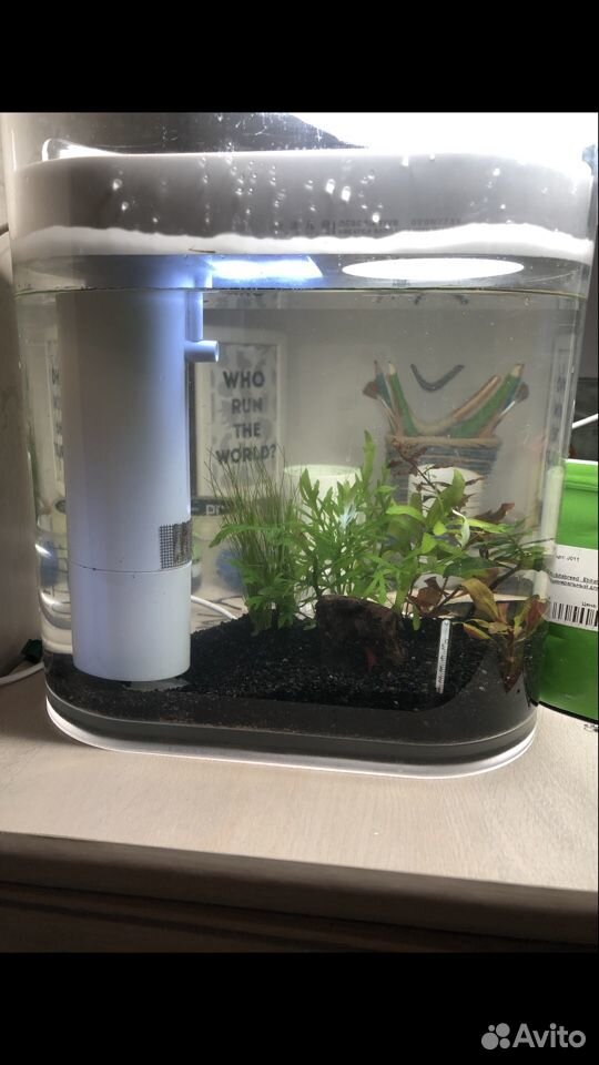 Аквариум xiaomi lazy fish tank