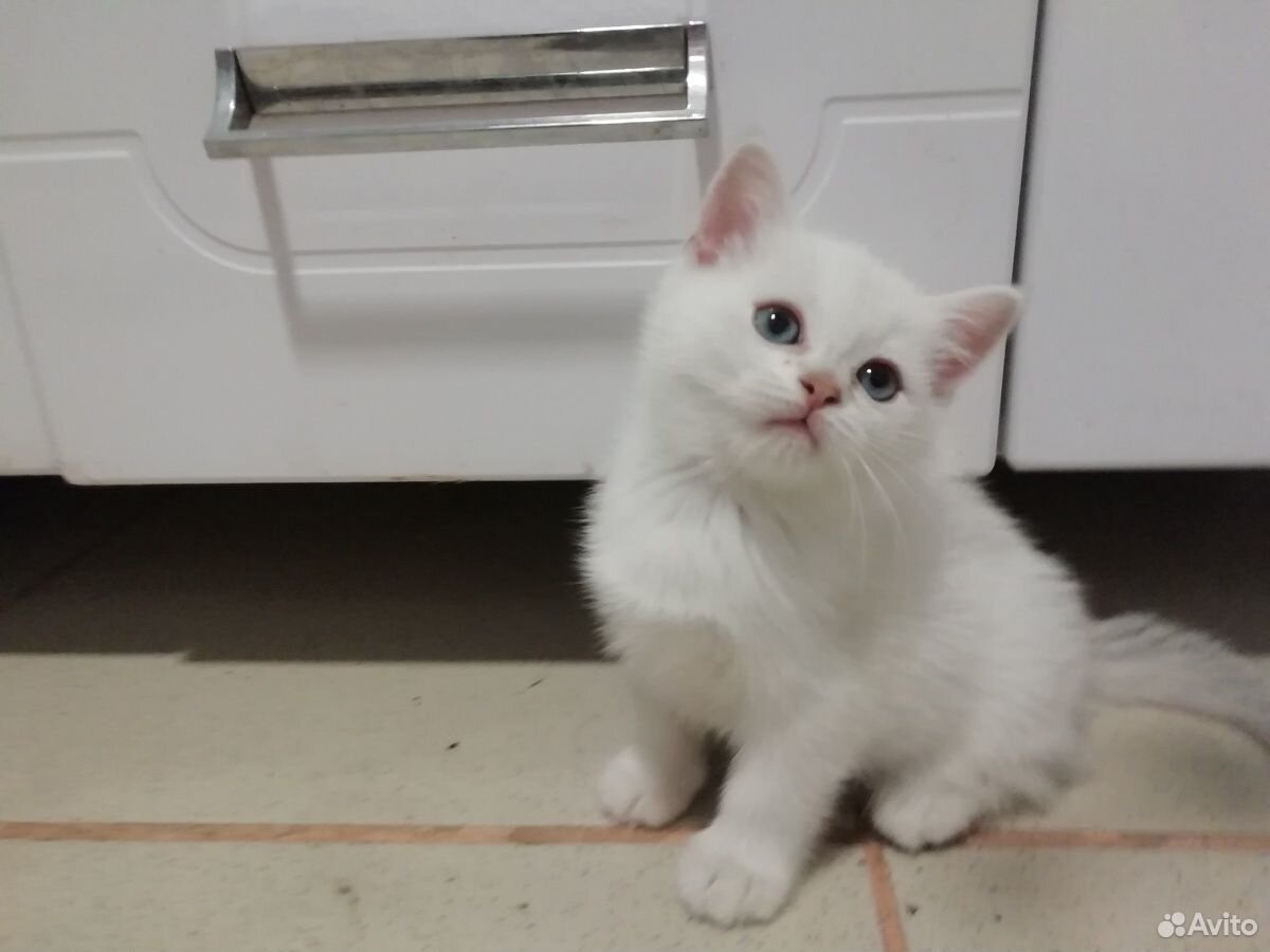 Клубная красотка