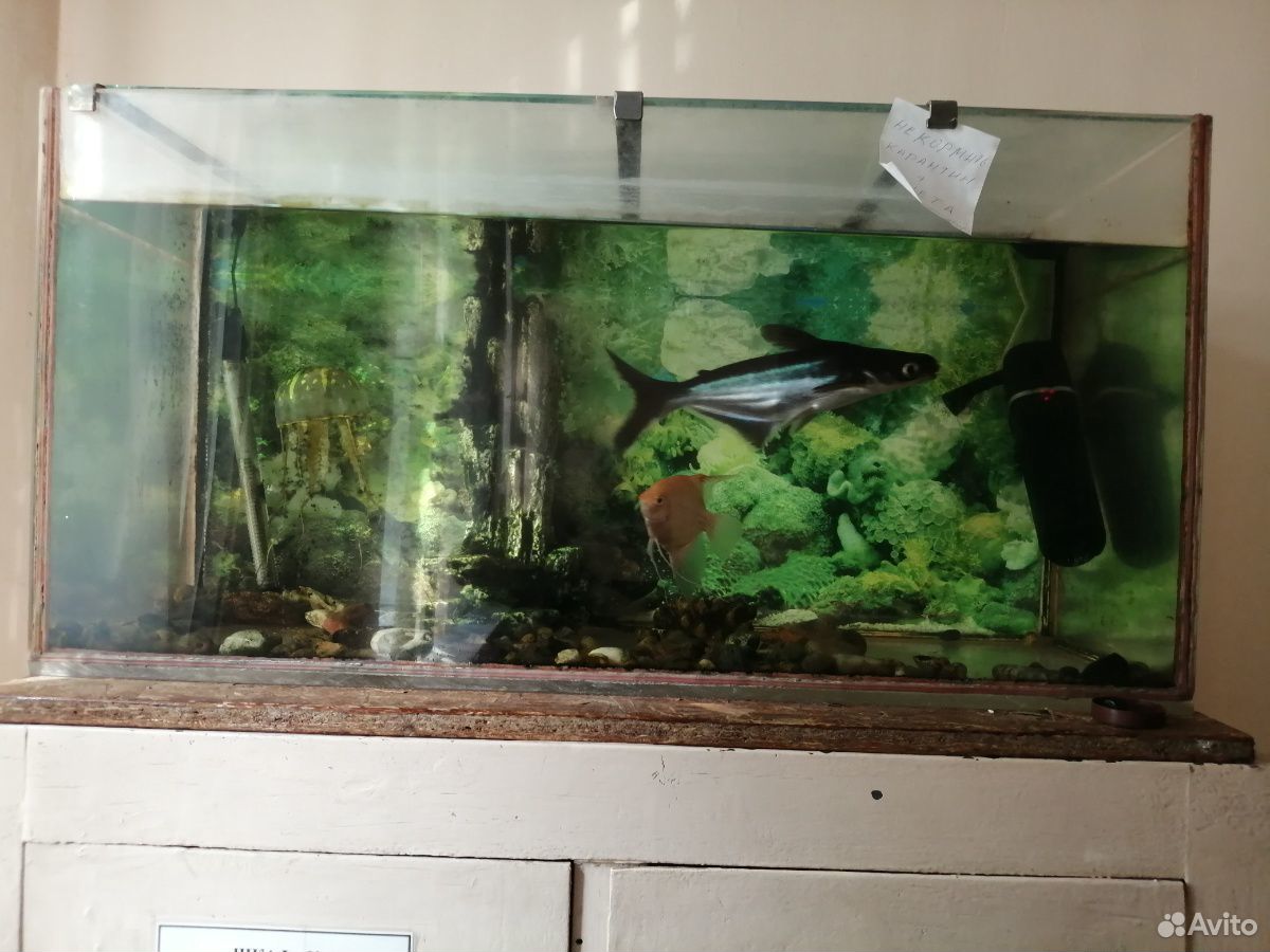 Аквариум