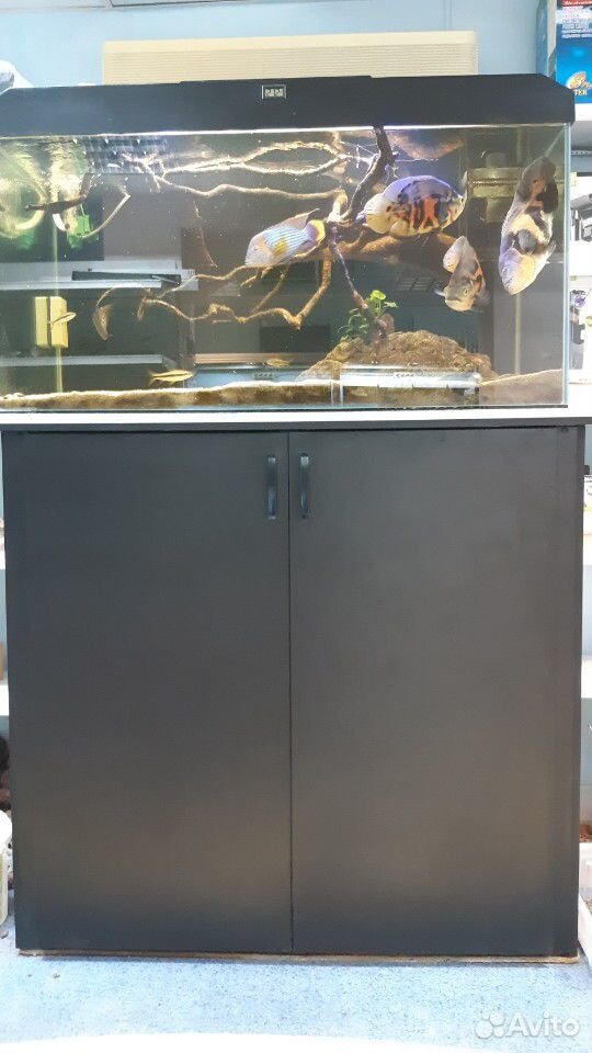 Аквариум 430л с сампом