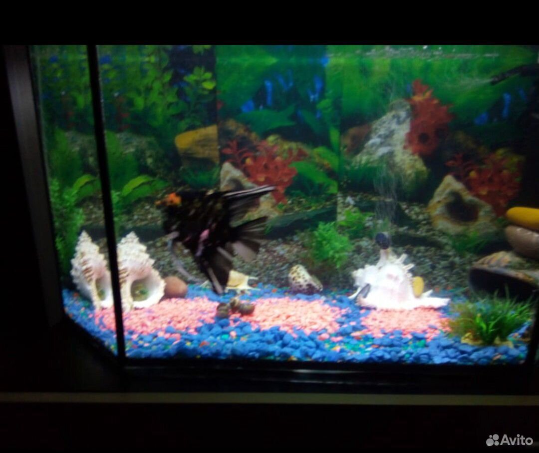 Аквариум с оборудованием