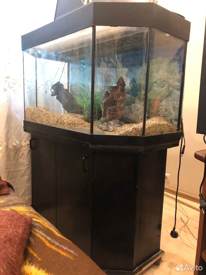 Аквариум со всем содержимым и оборудованием