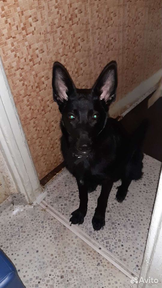 Добрые руки