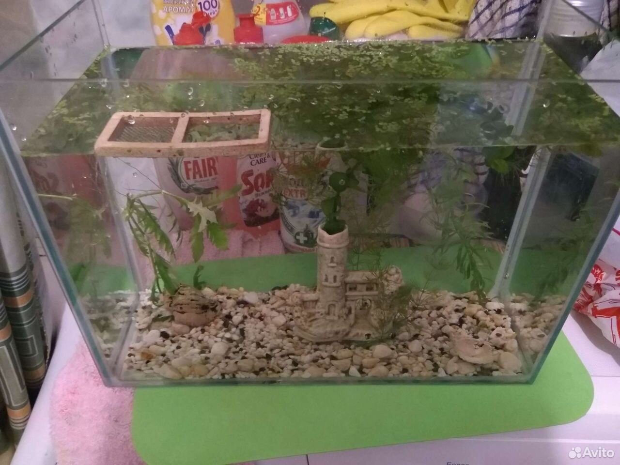 Аквариум 15лит с рыбками