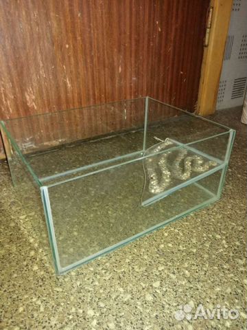 Черепашник