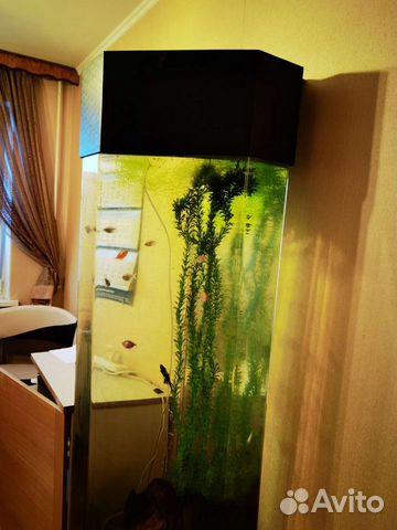 Аквариум напольный со всем в сборе