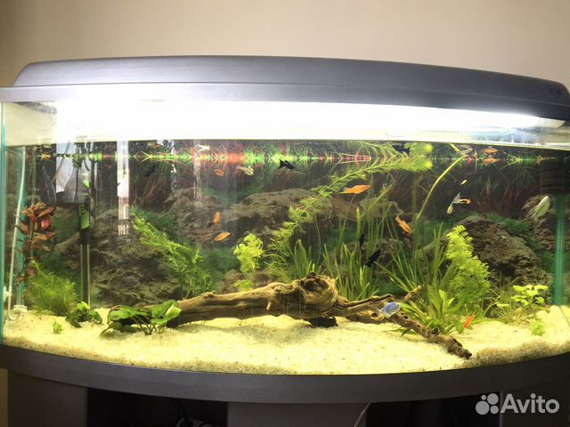 Украшение для аквариума