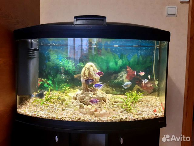 Аквариум ferplast cayman scenic 80