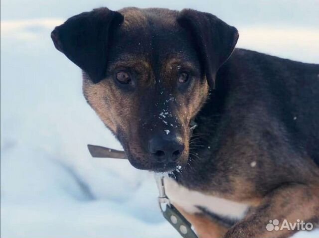 Пират Джек ищет своё сокровище