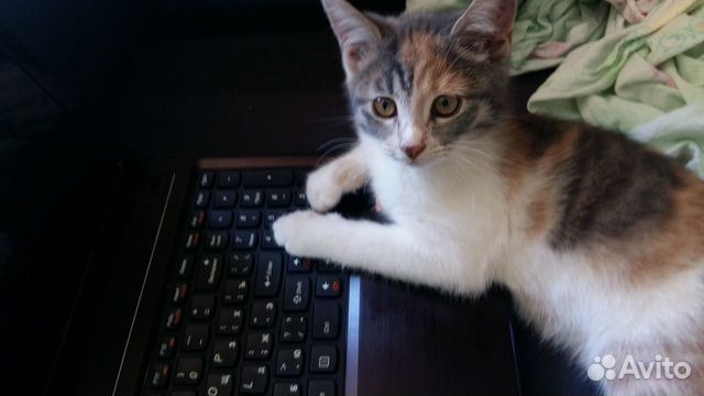 Мегаласкунишка 3 мес