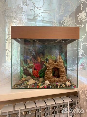 Аквариум