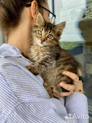 Коненок Марта