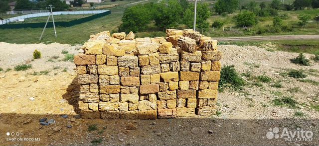 Камень ракушка