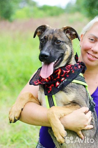 Молоденький Добби в заботливые руки