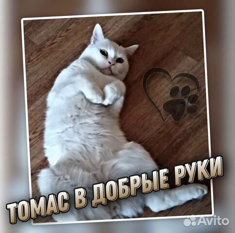 Томас в добрые руки