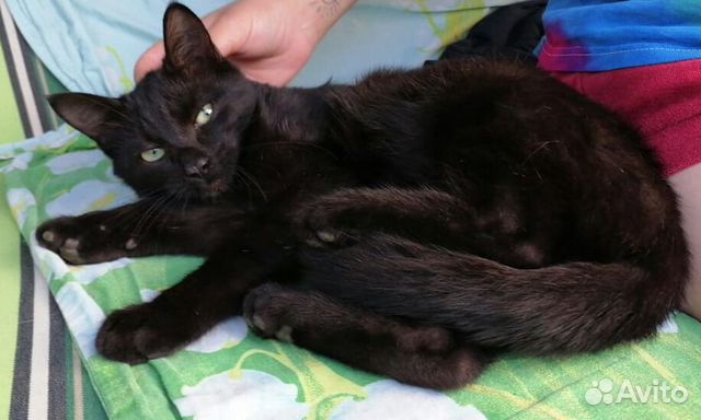 Брутальный парень