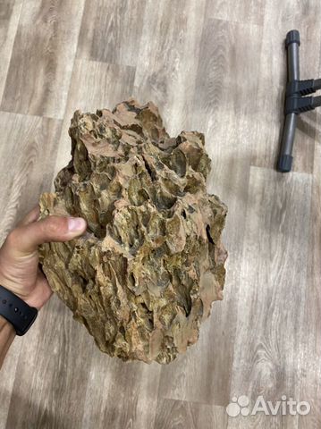 Камень «Дракон»