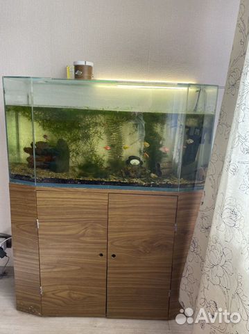 Аквариум 170л