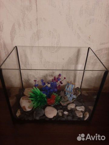 Аквариум