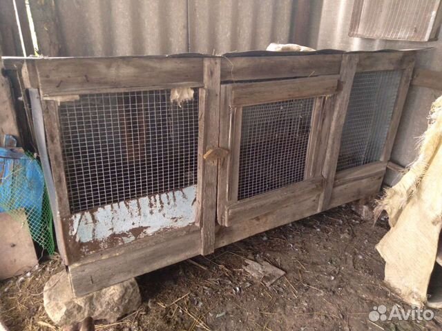 Кролятник большой