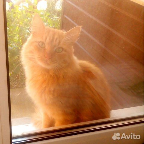 Шанс на миллион