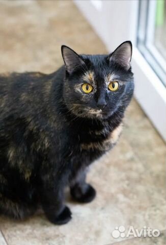 Нежная и ласковая Глафира ждёт семью