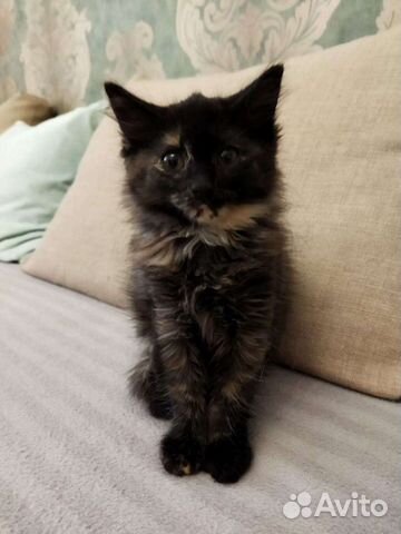 Малышка ждёт укотовителей