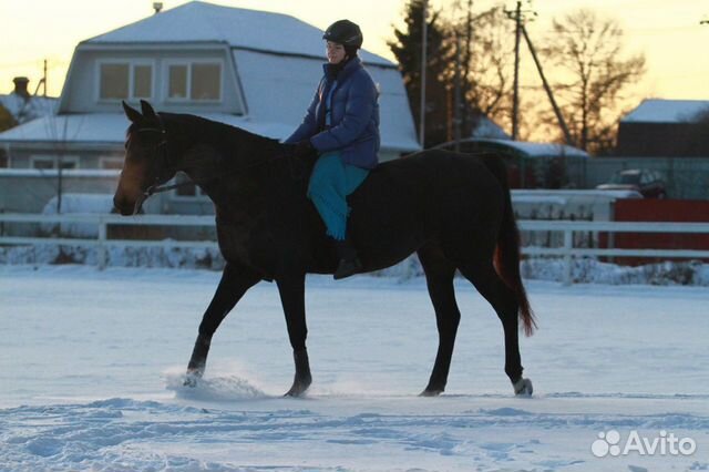 Лошадь в добрые руки