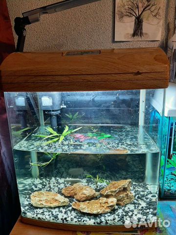 Аквариум jebo R338 R-syle на 36 литров