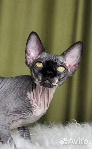 Девочка от экстремальной мамы