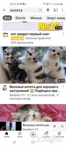 Животные
