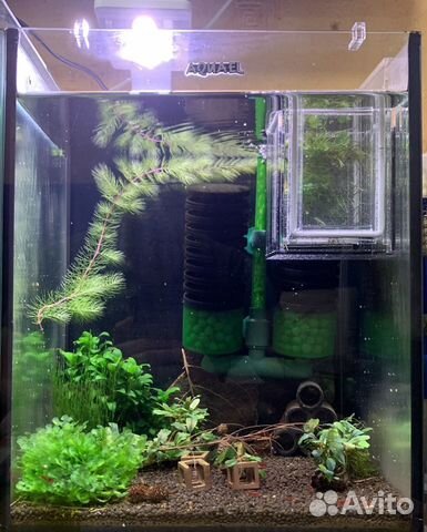 Аквариум креветочник aquael 30l