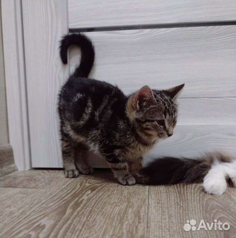 Мальчик 2,5 м
