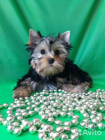 Мальчишечки Красавчики