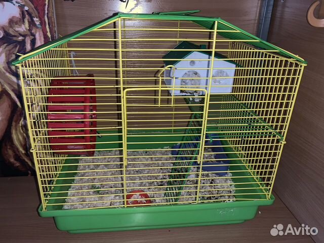 Клетка с сирийским хомяком