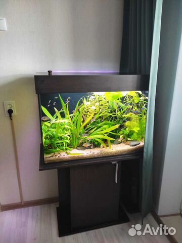 Аквариум 130 литров