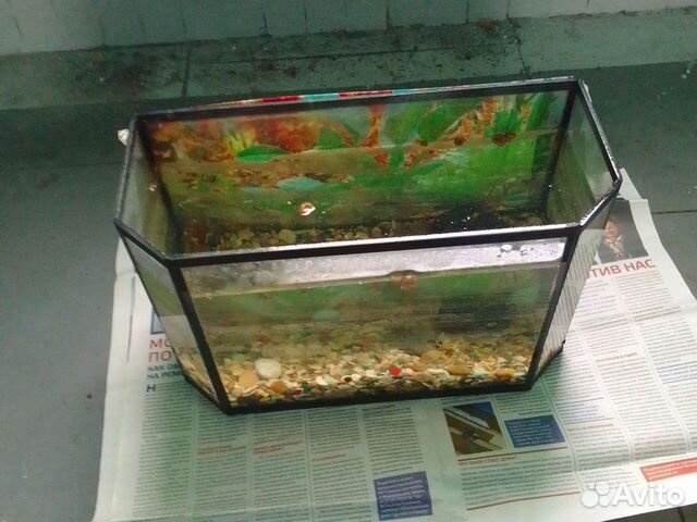 Аквариум