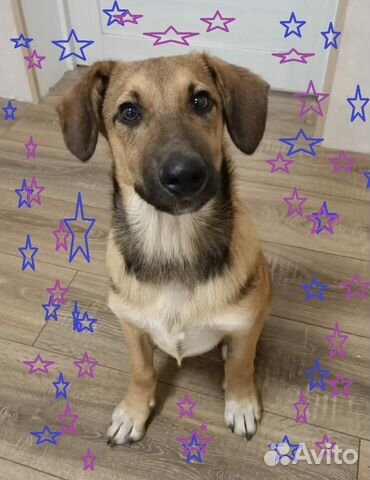 Рони ждет папу-маму