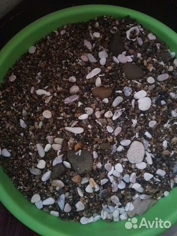 Аквариумный грунт