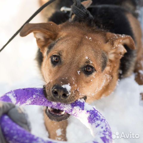 Василь. Ну очень хороший мальчик