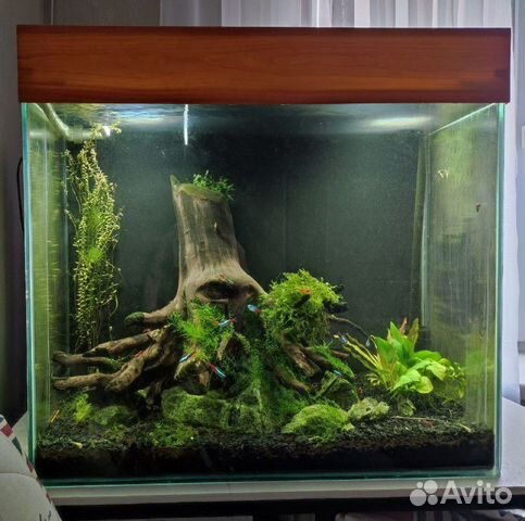 Аквариум